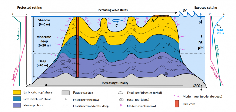 Exploring coral reef responses to millennial-scale climatic forcings ...