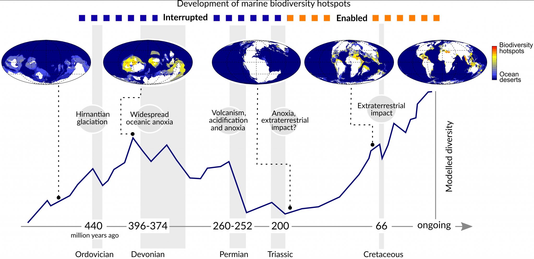 Nature: Post-extinction recovery of the Phanerozoic oceans and ...