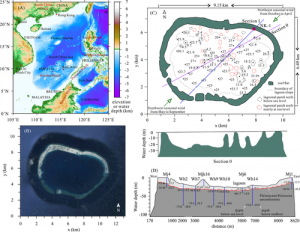 The formation of atolls: new insights from numerical simulations ...