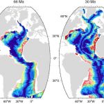 WORLD GRAVITY MAP – EarthByte