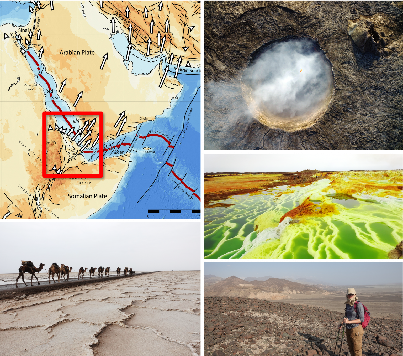 Geology-Geophysics Seminar Series: Valentin Rime – EarthByte